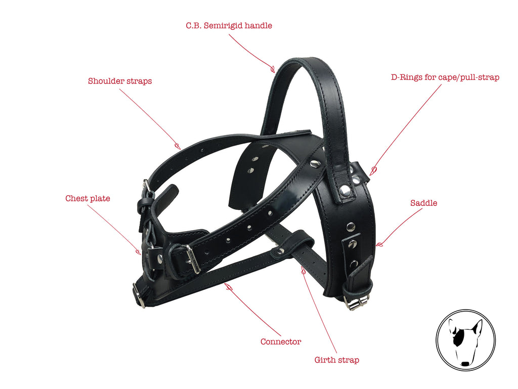 Leather Y Front Service Dog Harness with Semi Rigid Handle– Yupcollars