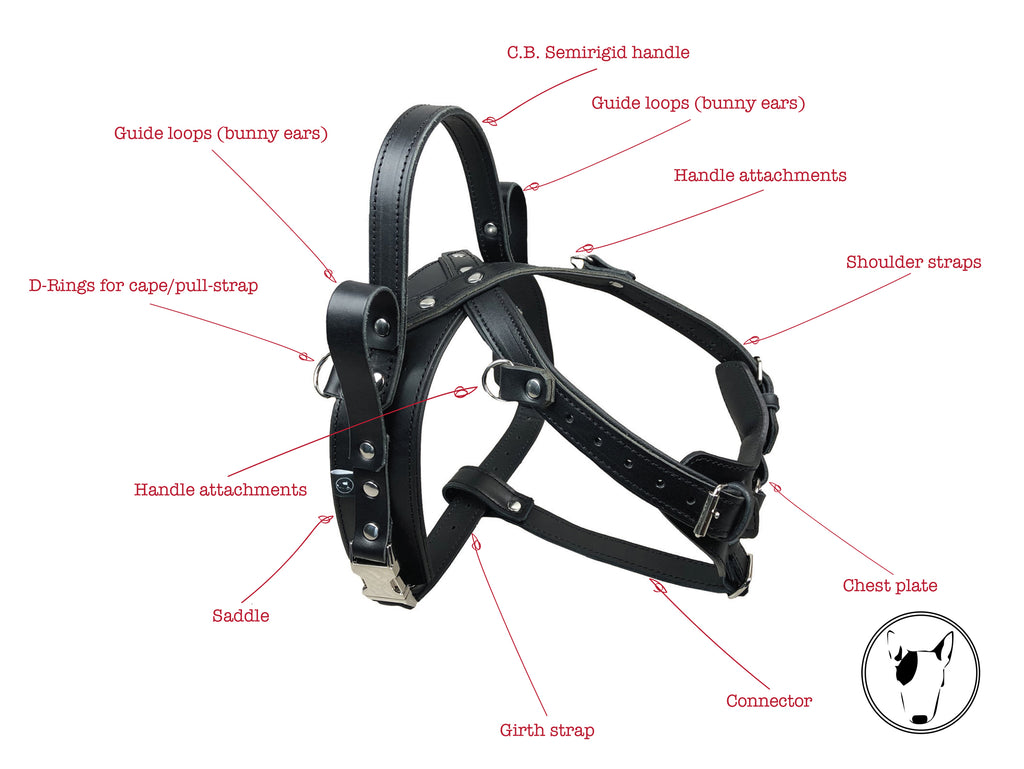Crossed Y Front Leather Guide Dog Harness with Fixed Semi Rigid Handle ...
