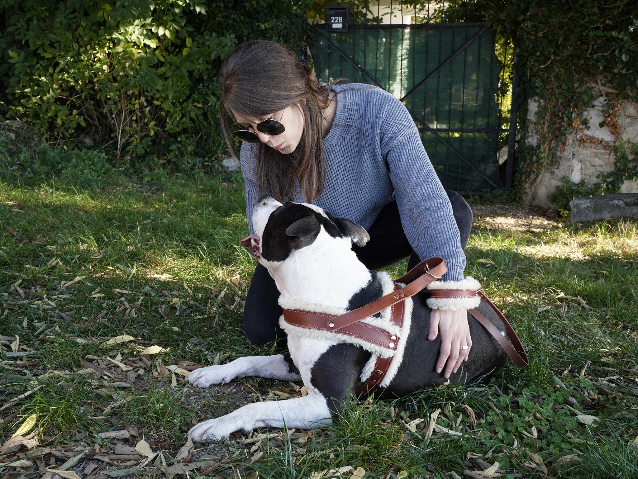 Fully Customizable Leather Dog Harness with Extra Fluffy Sheepskin ...