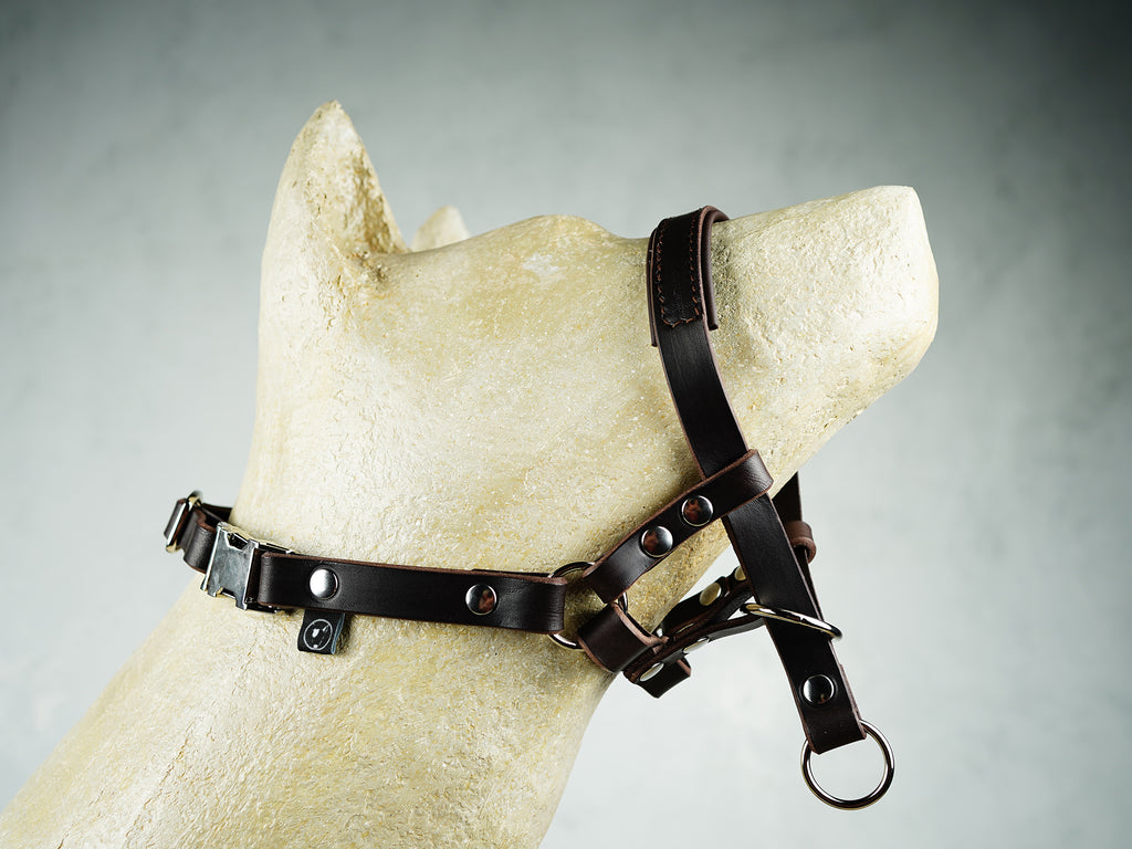 Padded Leather No Pull Dog Head Collar– Yupcollars