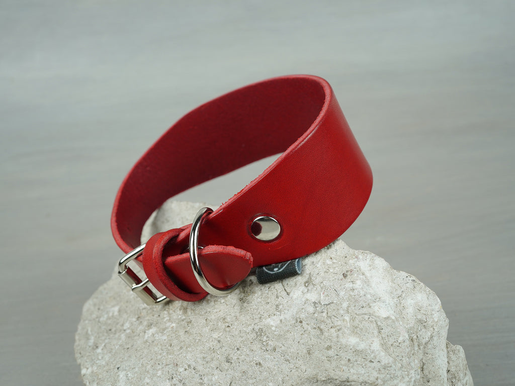 Tapered Leather Dog Collar in 5 Colors– Yupcollars