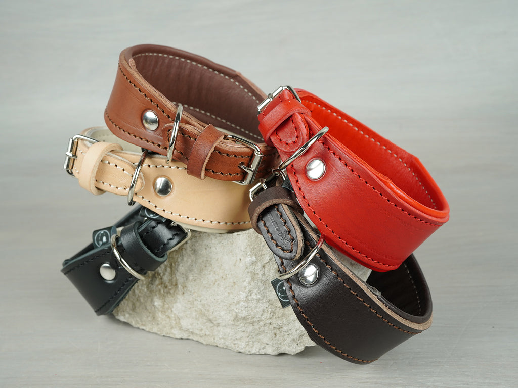 Tapered Padded Leather Dog Collar in 5 Colors– Yupcollars