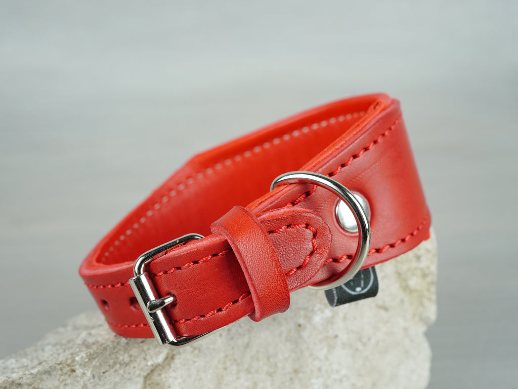 Tapered Padded Leather Dog Collar in 5 Colors– Yupcollars