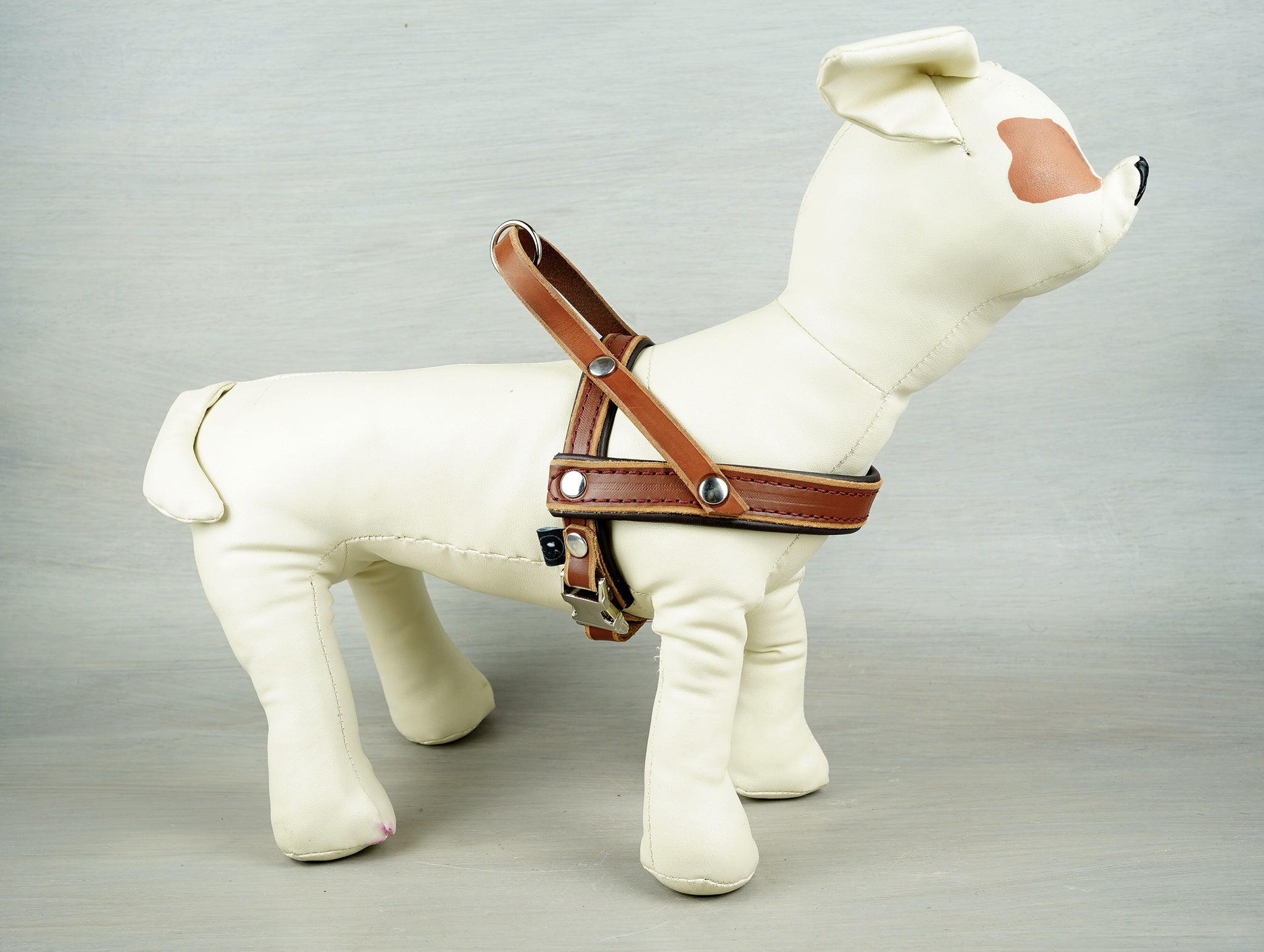 Padded Leather Dog Harness Ideal for All Breeds and Sizes– Yupcollars