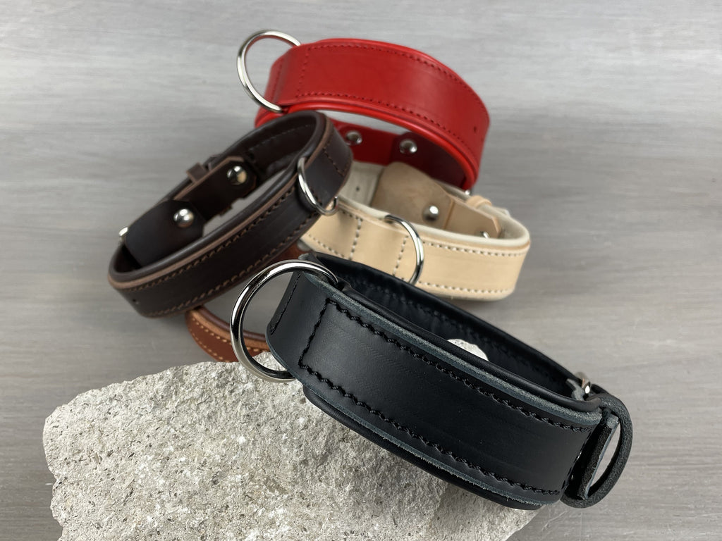 Padded Leather Dog Collar with Central Leash Attachment– Yupcollars