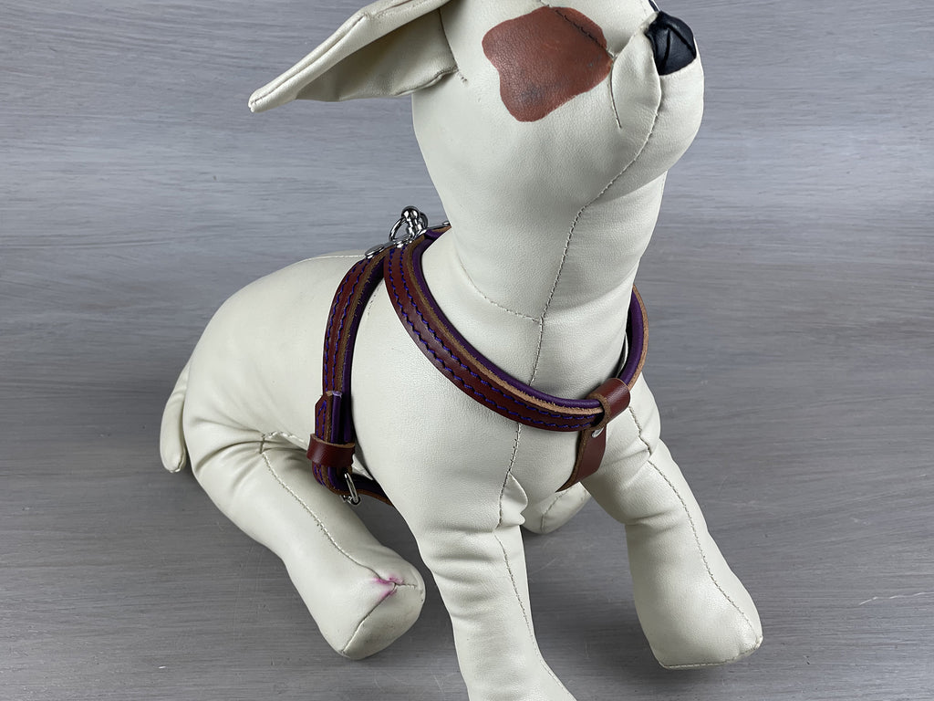 Slip On Harness for Small and Toy Dogs– Yupcollars