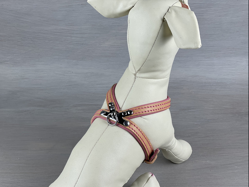 Slip On Harness for Small and Toy Dogs– Yupcollars