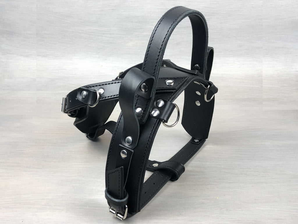 Standard Y Front Leather Guide Dog Harness with Fixed Semi Rigid Handl ...