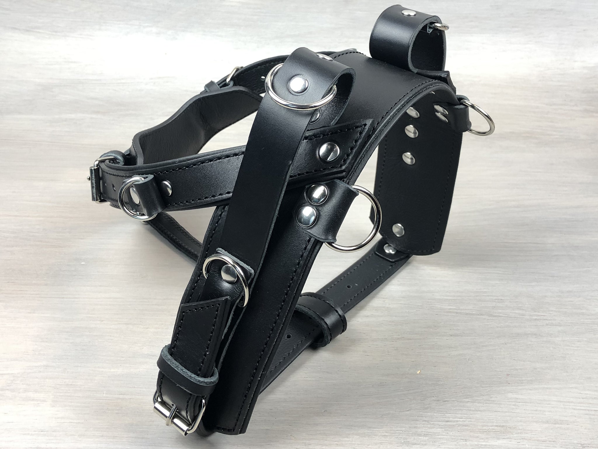 Standard Y Front Leather Guide Dog Harness with Bunny Ears– Yupcollars
