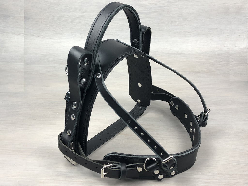Standard Leather Guide Dog Harness with Fixed Semi Rigid Handle– Yupcollars