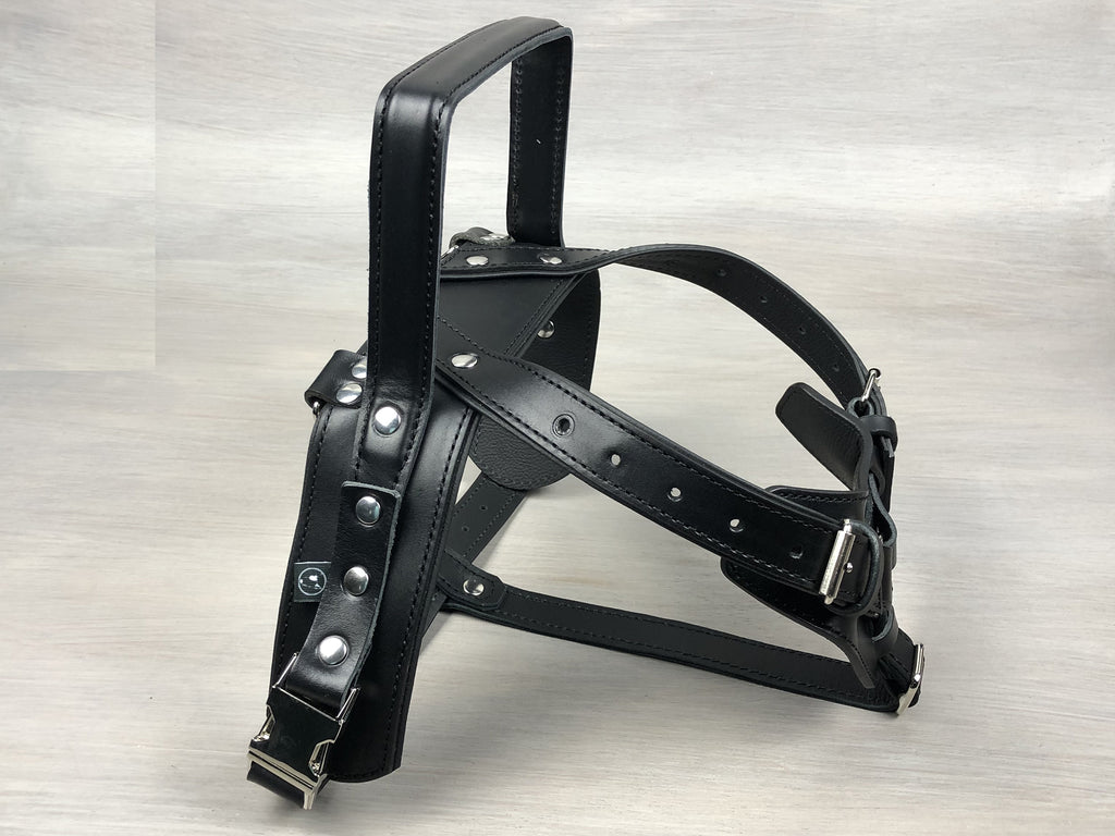 Standard Leather Y Front Service Dog Harness with Fixed Rigid Handle ...