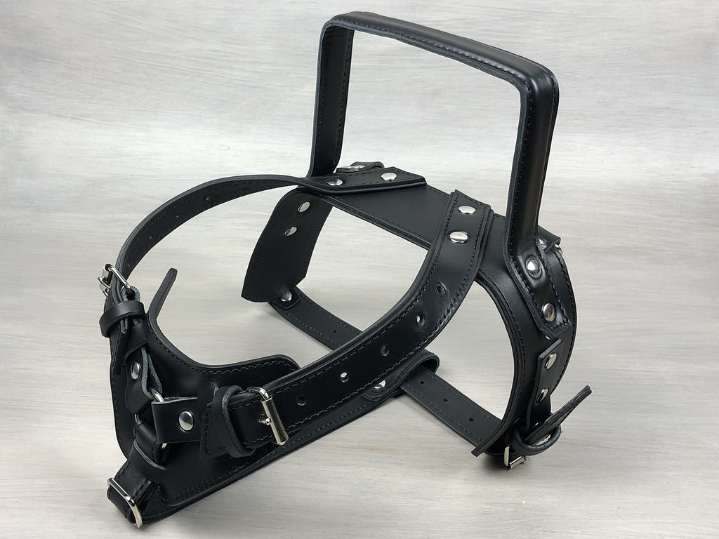 Standard Leather Y Front Service Dog Harness with Fixed Rigid Handle ...