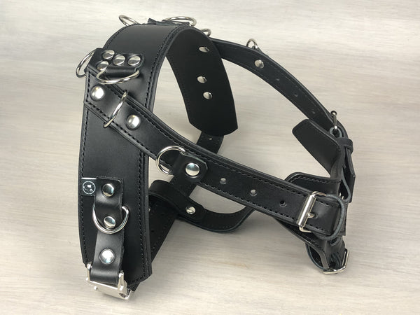 Standard Y Front Leather Guide Dog Harness– Yupcollars