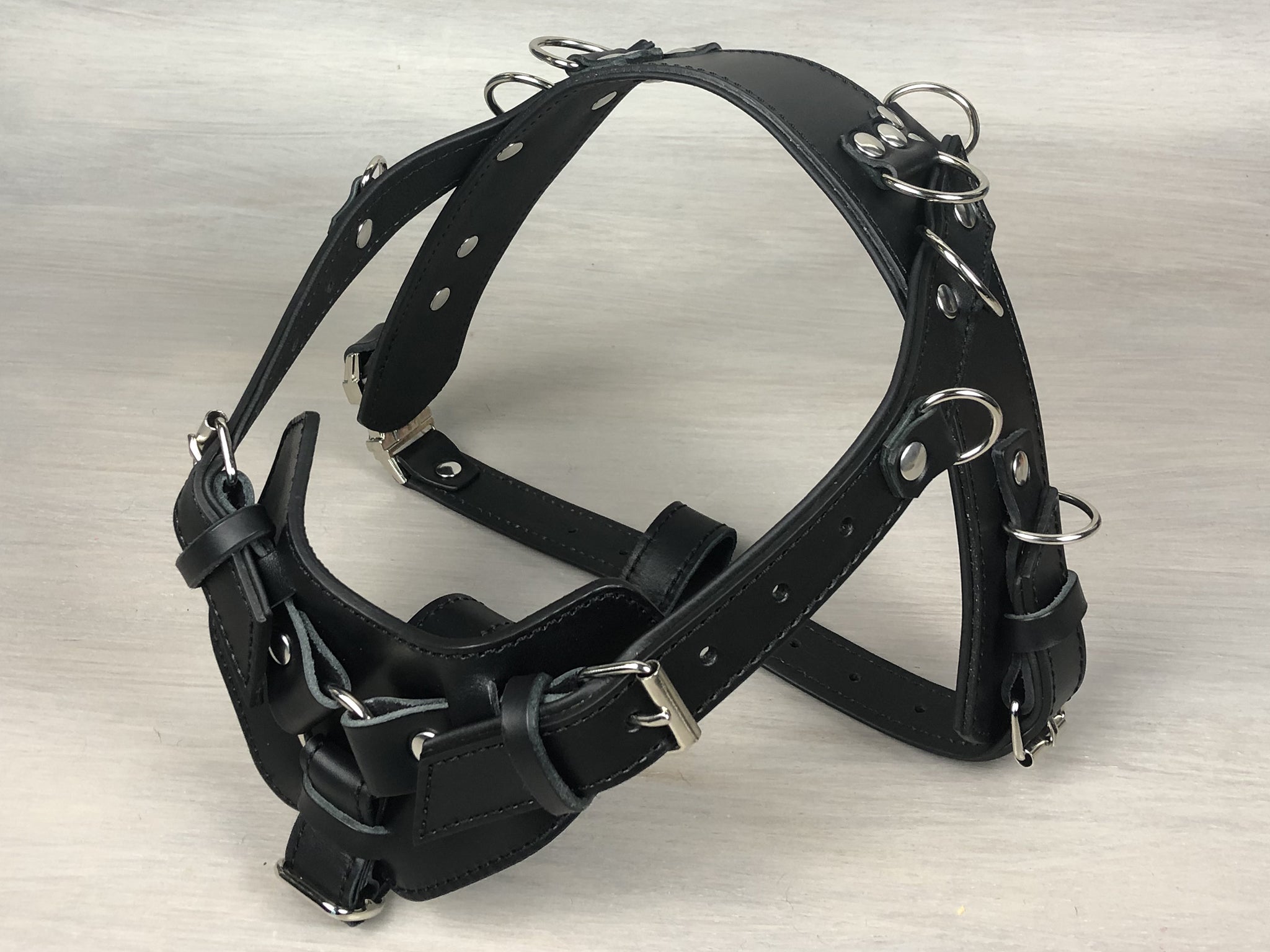 Standard Y Front Leather Guide Dog Harness– Yupcollars