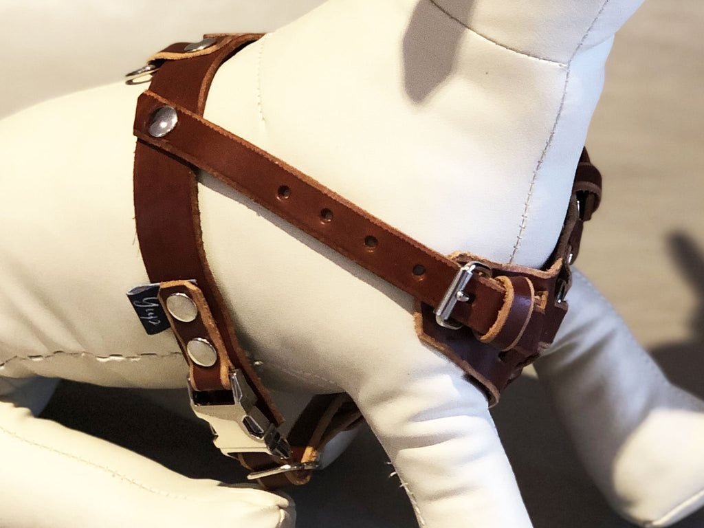 Y Front Dog Harness in Single Layer Leather in 5 Colors– Yupcollars