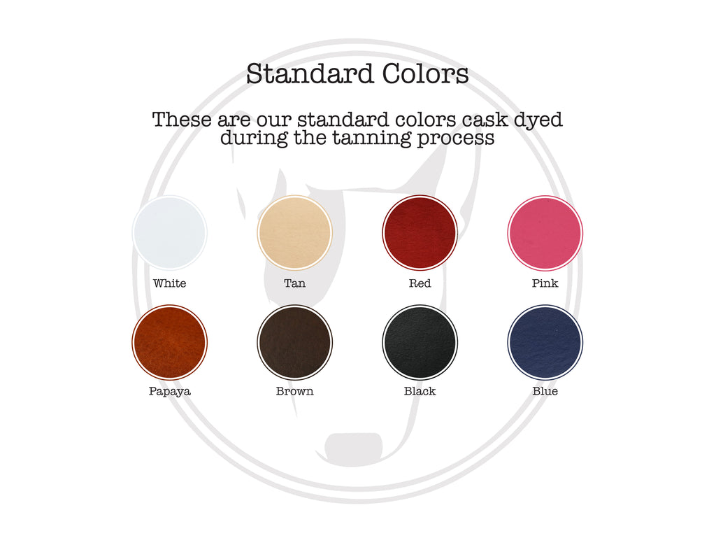 Fully Customizable Tapered Padded Leather Dog Collar– Yupcollars