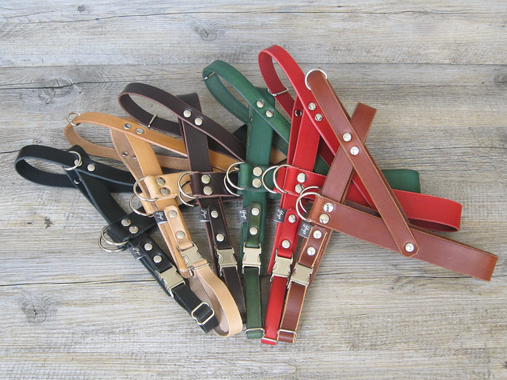 Leather Dog Harness in 6 Colors With Side D-Rings– Yupcollars