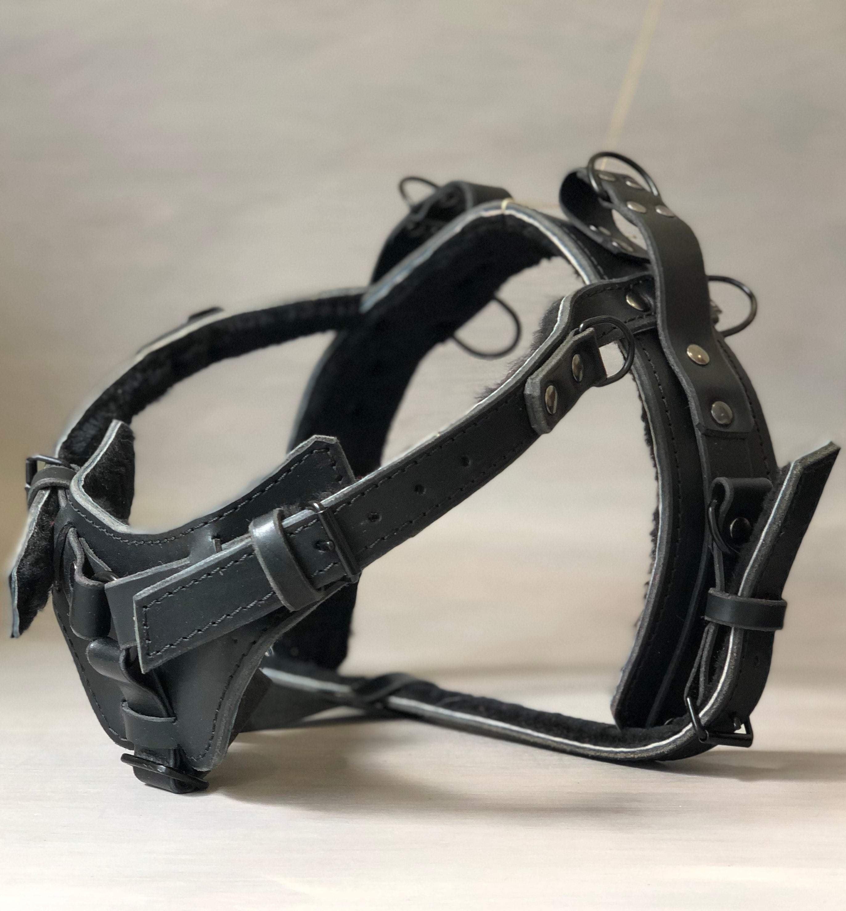 Y Front Leather Guide Dog Harness with Bunny Ears– Yupcollars