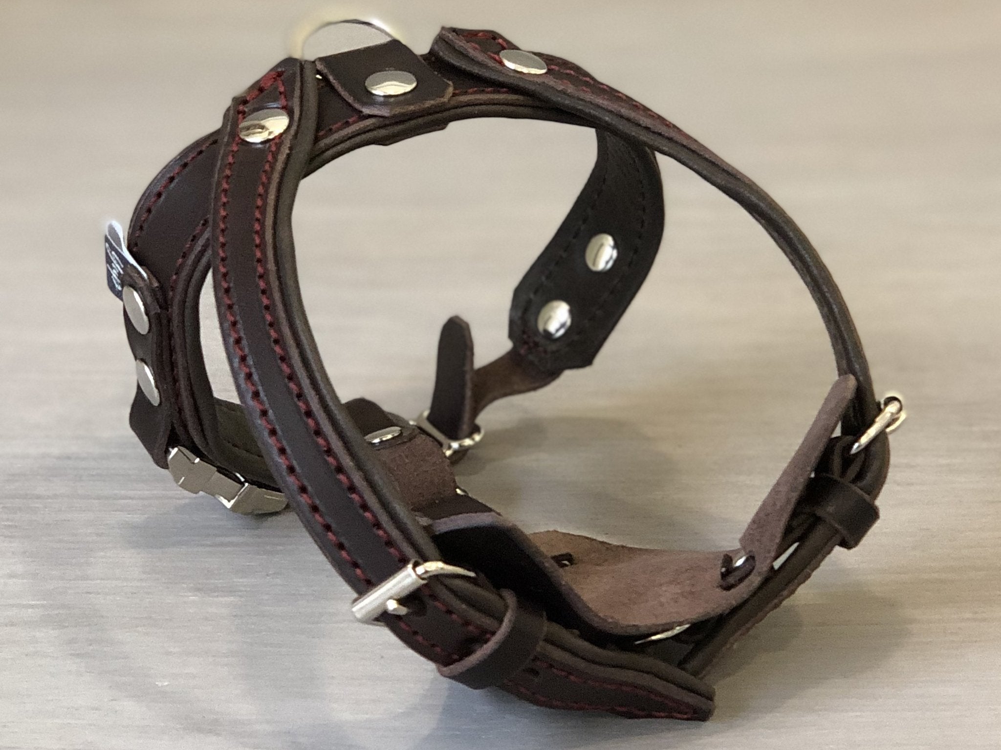 Padded Leather Y Front Dog Harness in 5 Colors Ideal for All Sizes ...