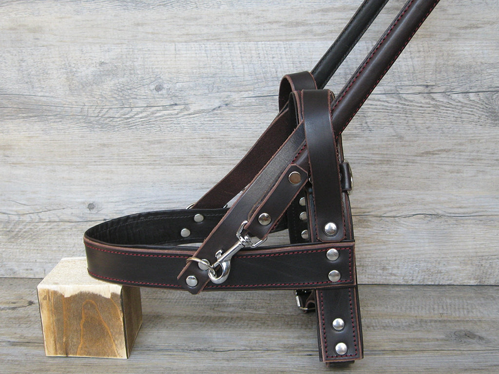 Leather Light Guide Dog Harness Padded with Soft Leather– Yupcollars