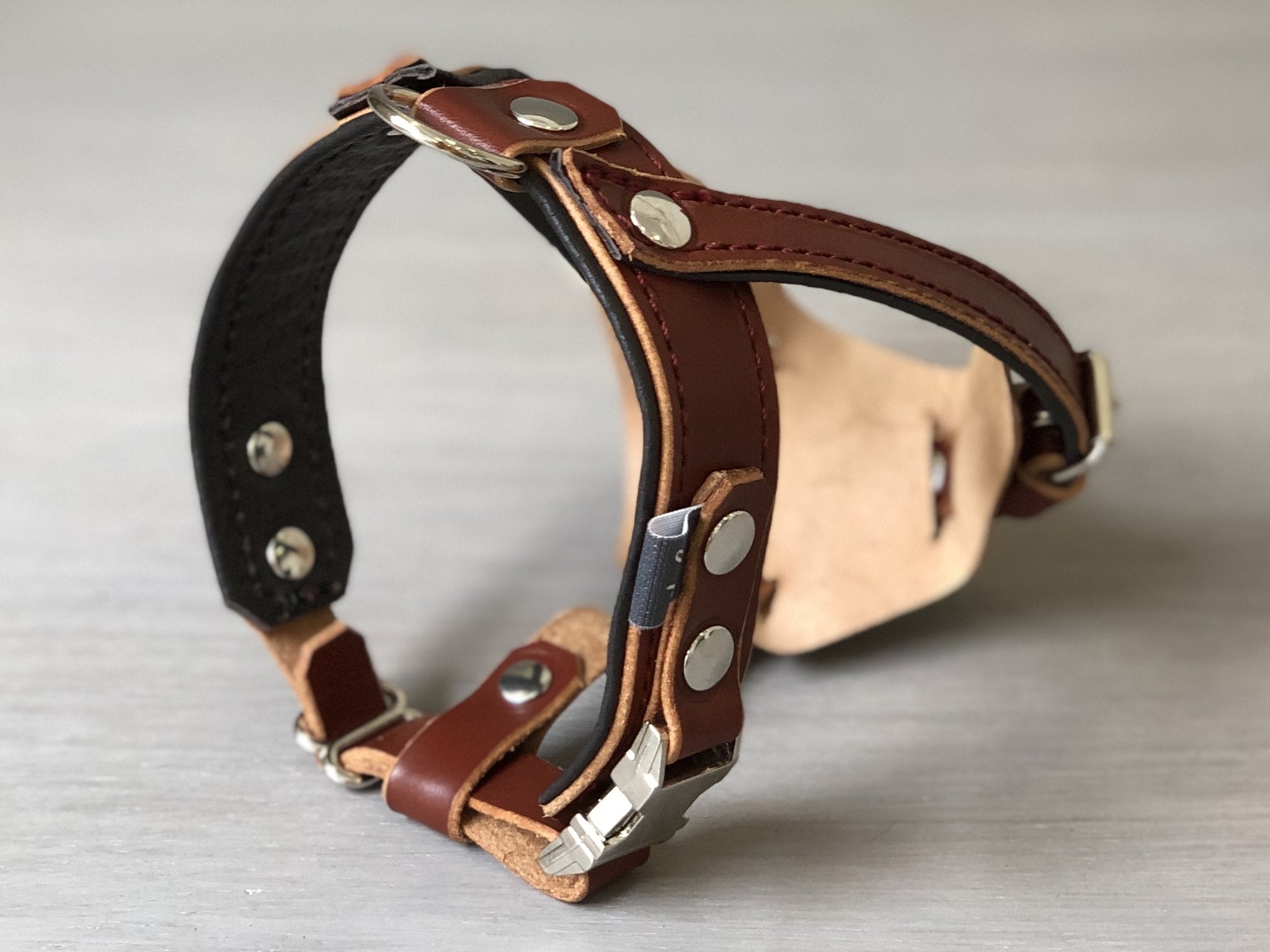 Padded Leather Y Front Dog Harness in 5 Colors Ideal for All Sizes ...