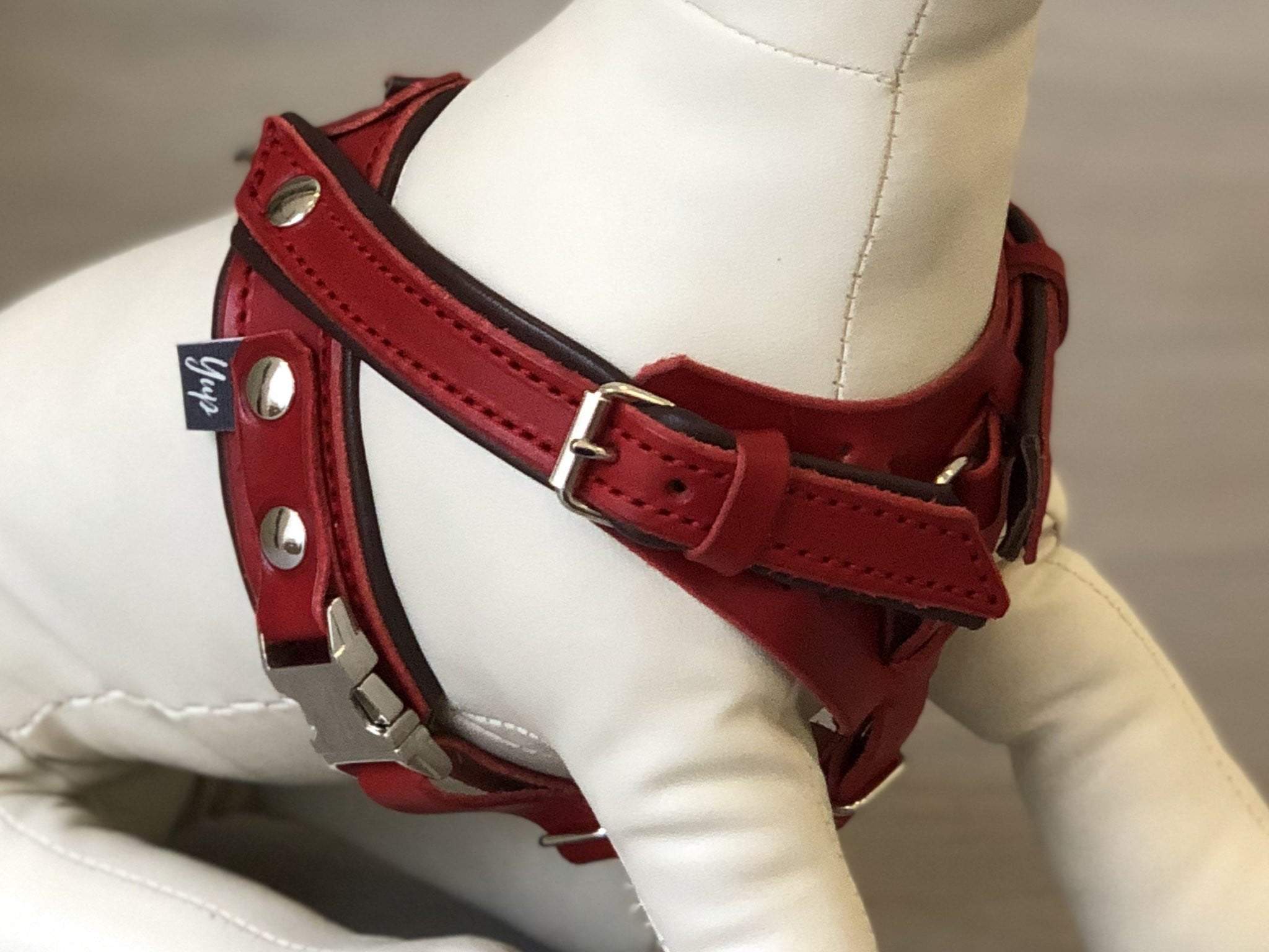 Padded Leather Y Front Dog Harness in 5 Colors Ideal for All Sizes ...