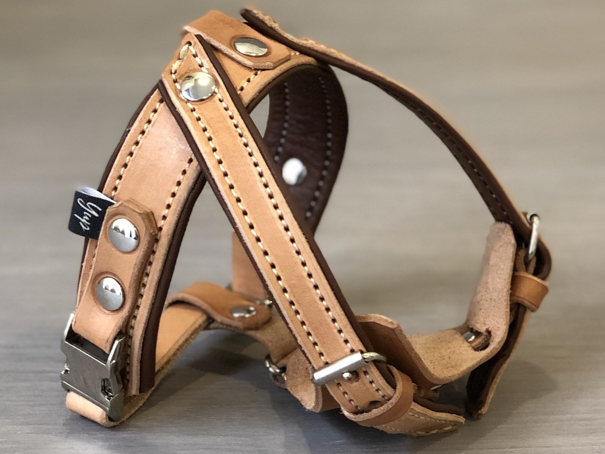 Padded Leather Y Front Dog Harness in 5 Colors Ideal for All Sizes ...